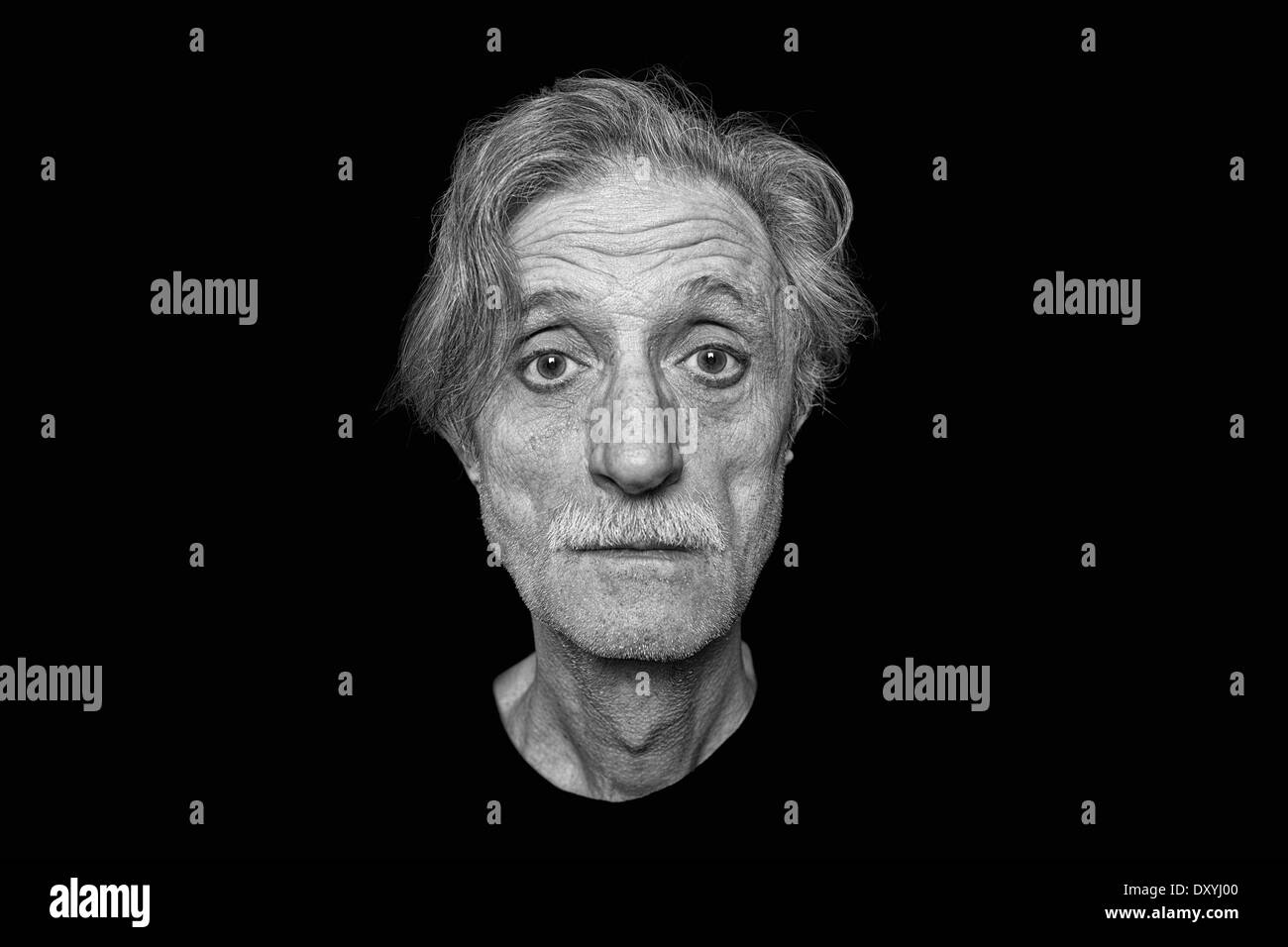 Portrait label hi-res stock photography and images - Alamy