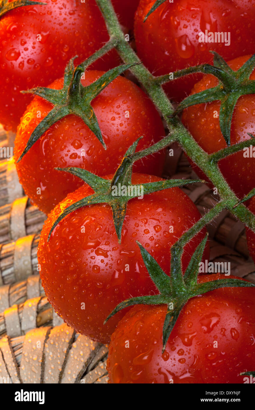 Vine tomatoes hi-res stock photography and images - Alamy