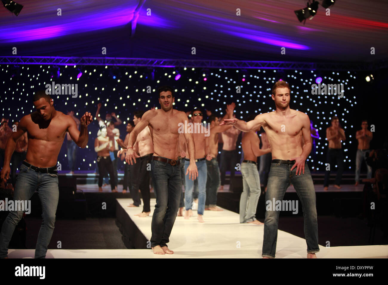 Mr World Contestants during the Mr World 2012 at the Kent Showground in ...