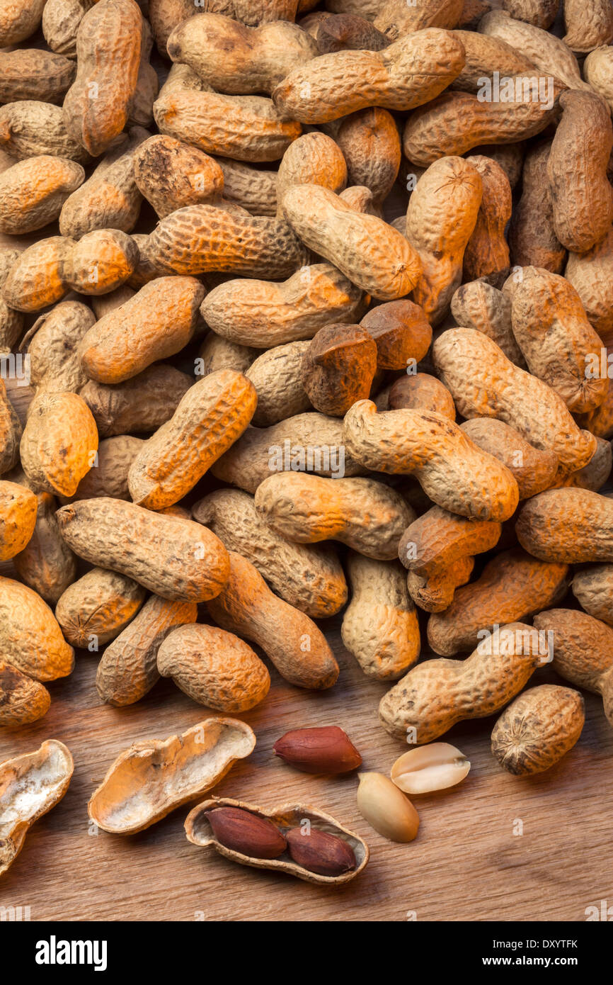 Peanuts, or groundnuts (Arachis hypogaea Stock Photo - Alamy