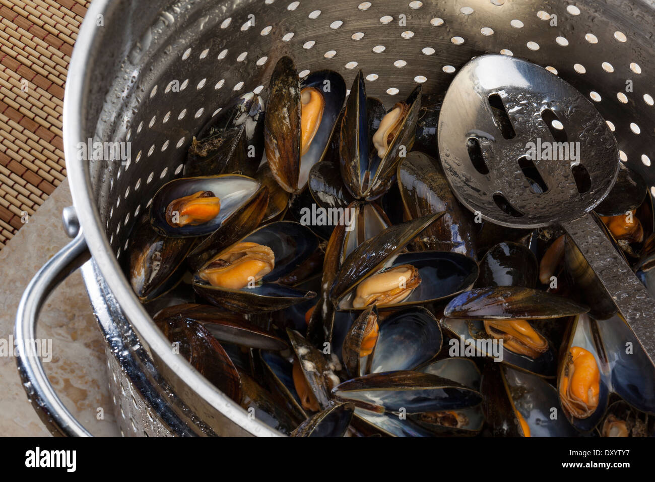 Cooking fresh mussels to make Moules Marinieres Stock Photo - Alamy