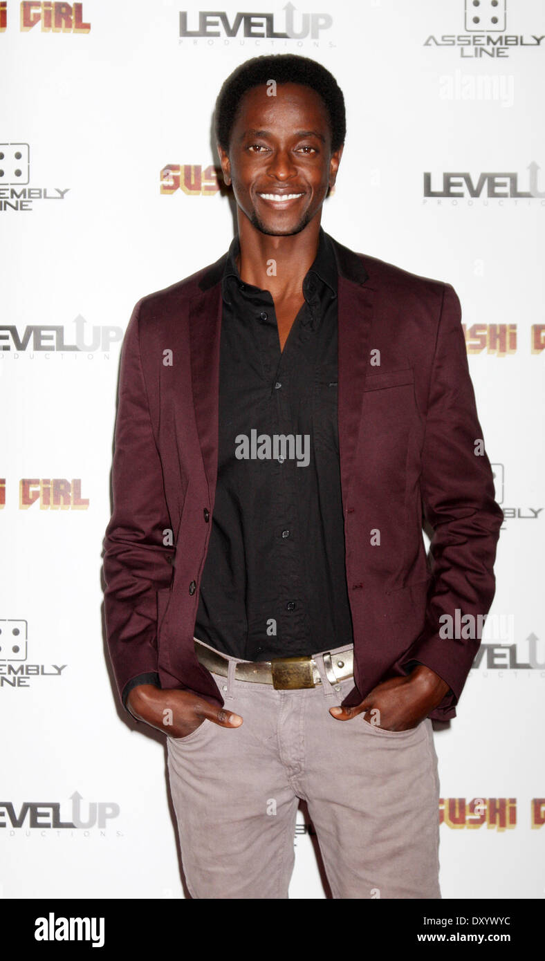 The premiere of 'Sushi Girl' at Grauman's Chinese Theatre Featuring ...