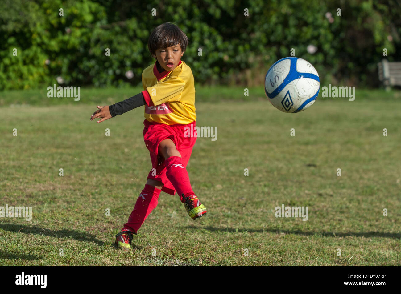 A football player of the U9 youth team shoots the football volley, Cape ...