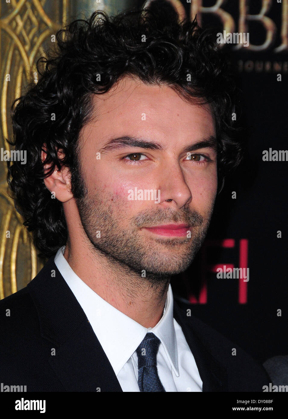 The Premiere of 'The Hobbit: Unexpected Journey' at the Ziegfeld ...