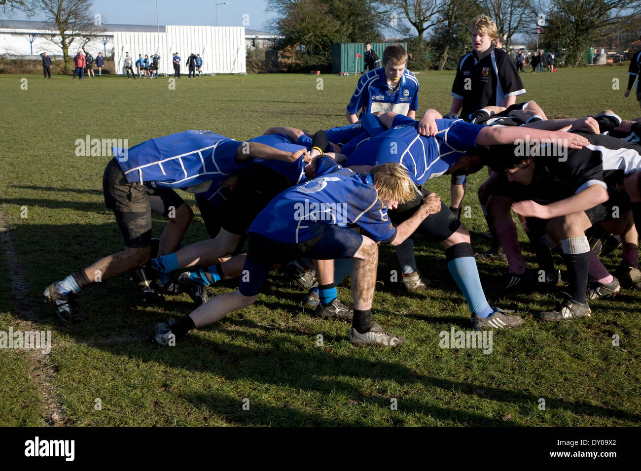 Rugby scrum scrummage hi-res stock photography and images - Alamy