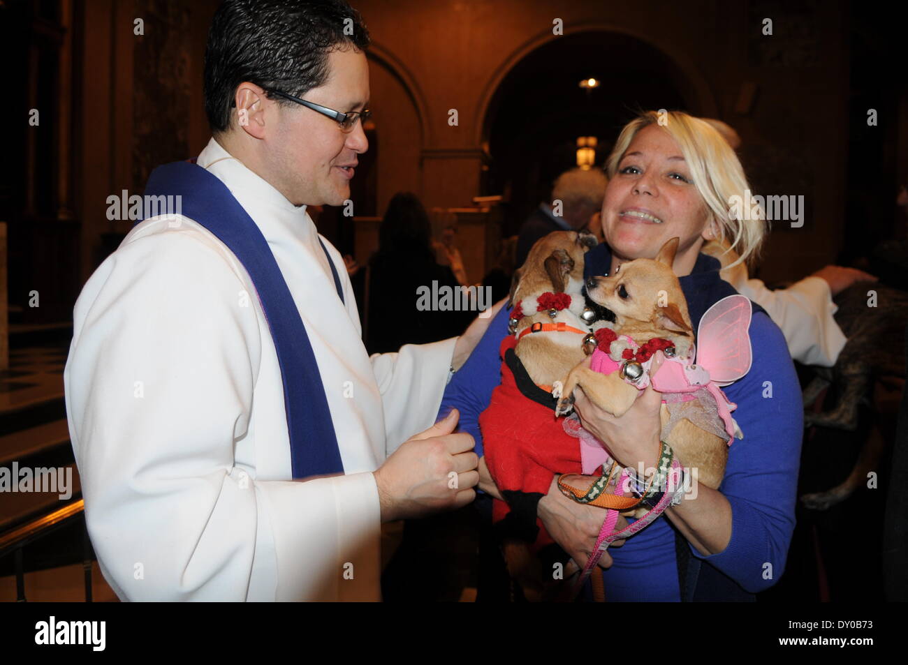 ASPCA Blessing of the Animals at Christ Church United Methodist ...