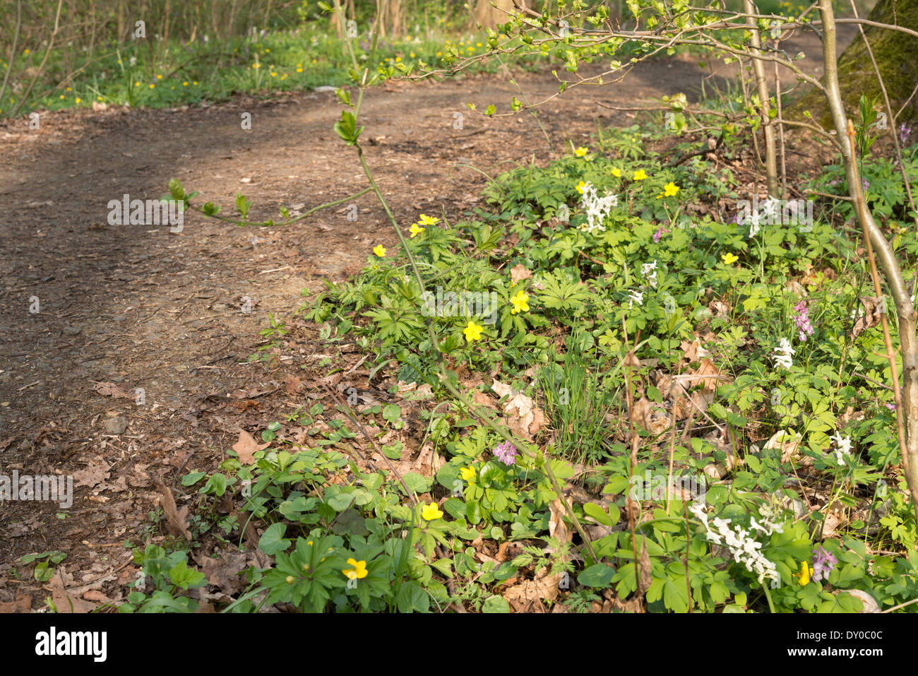 Pathway track hi-res stock photography and images - Alamy