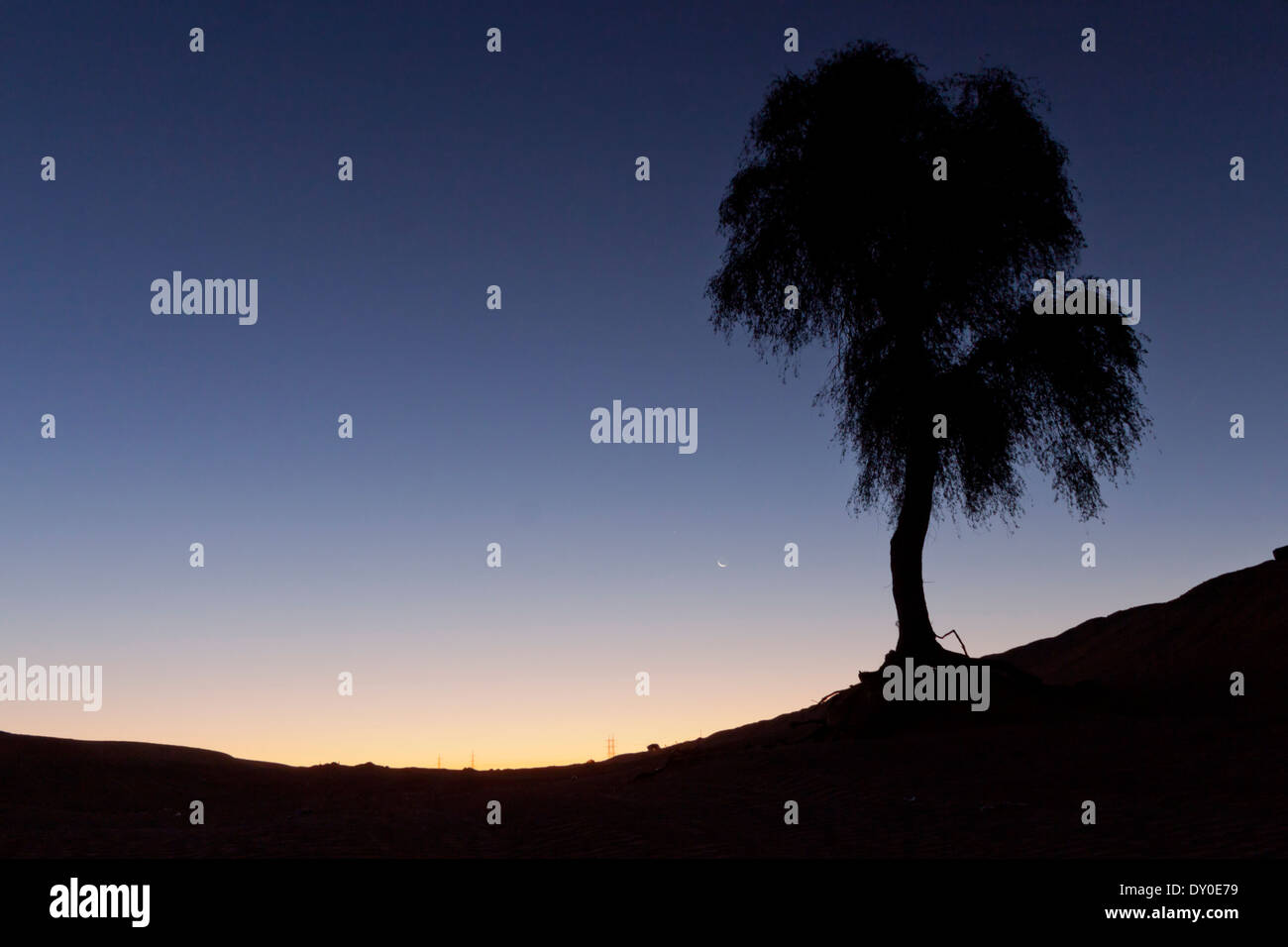 Dubai sunset desert hi-res stock photography and images - Alamy