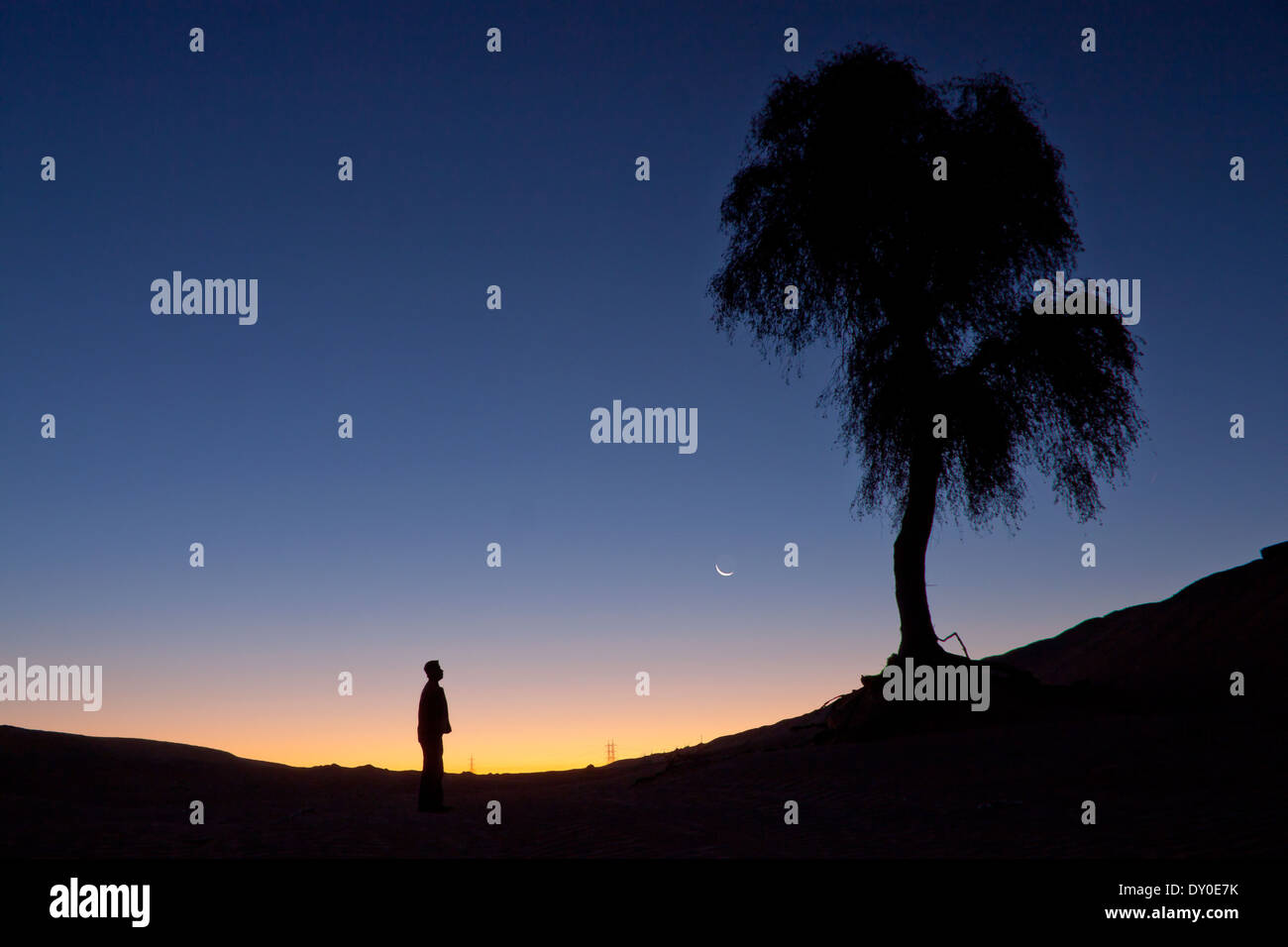 Lonely man standing next to the tree in a desert Stock Photo - Alamy