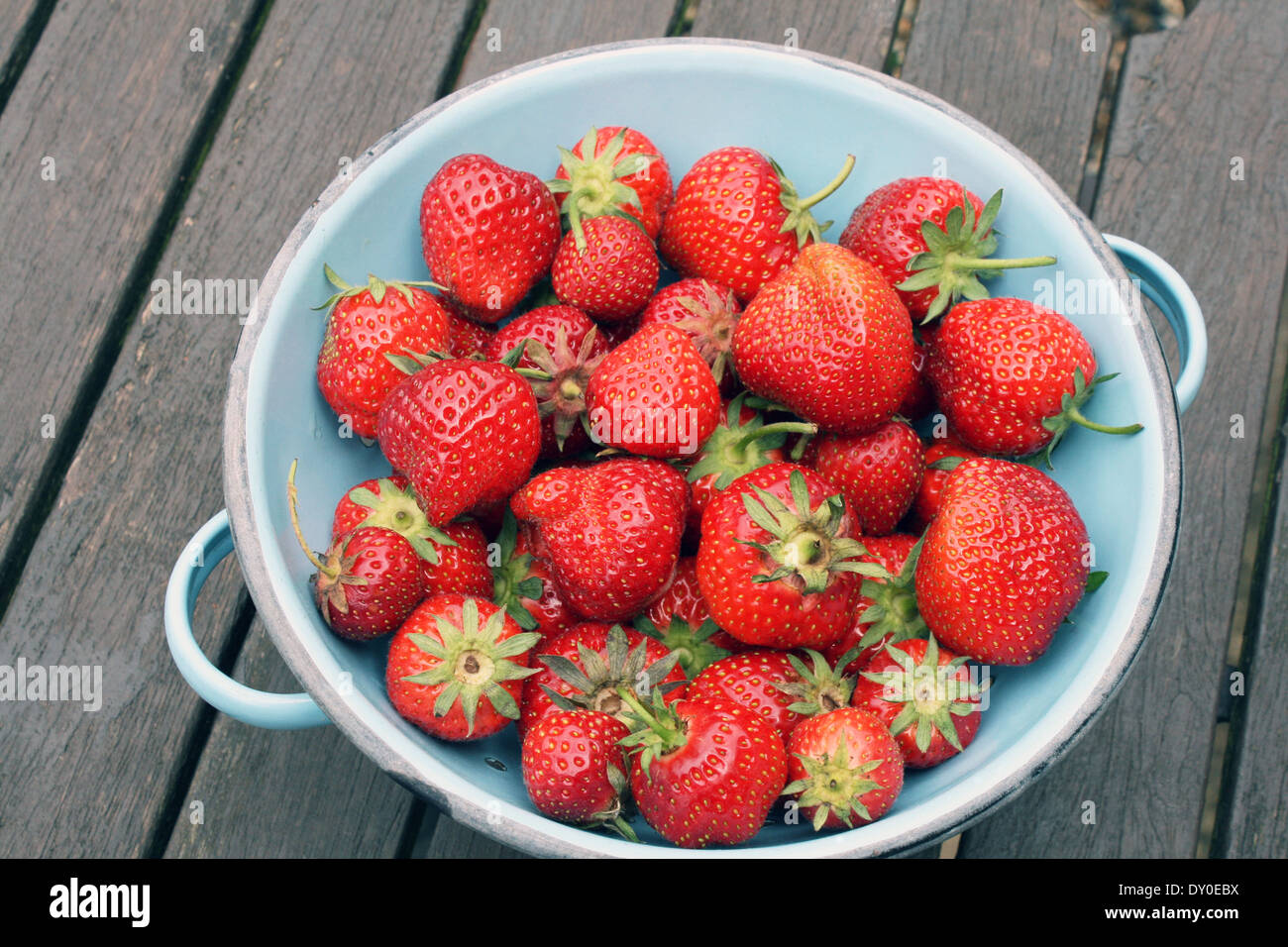 English Strawberries High Resolution Stock Photography and Images - Alamy