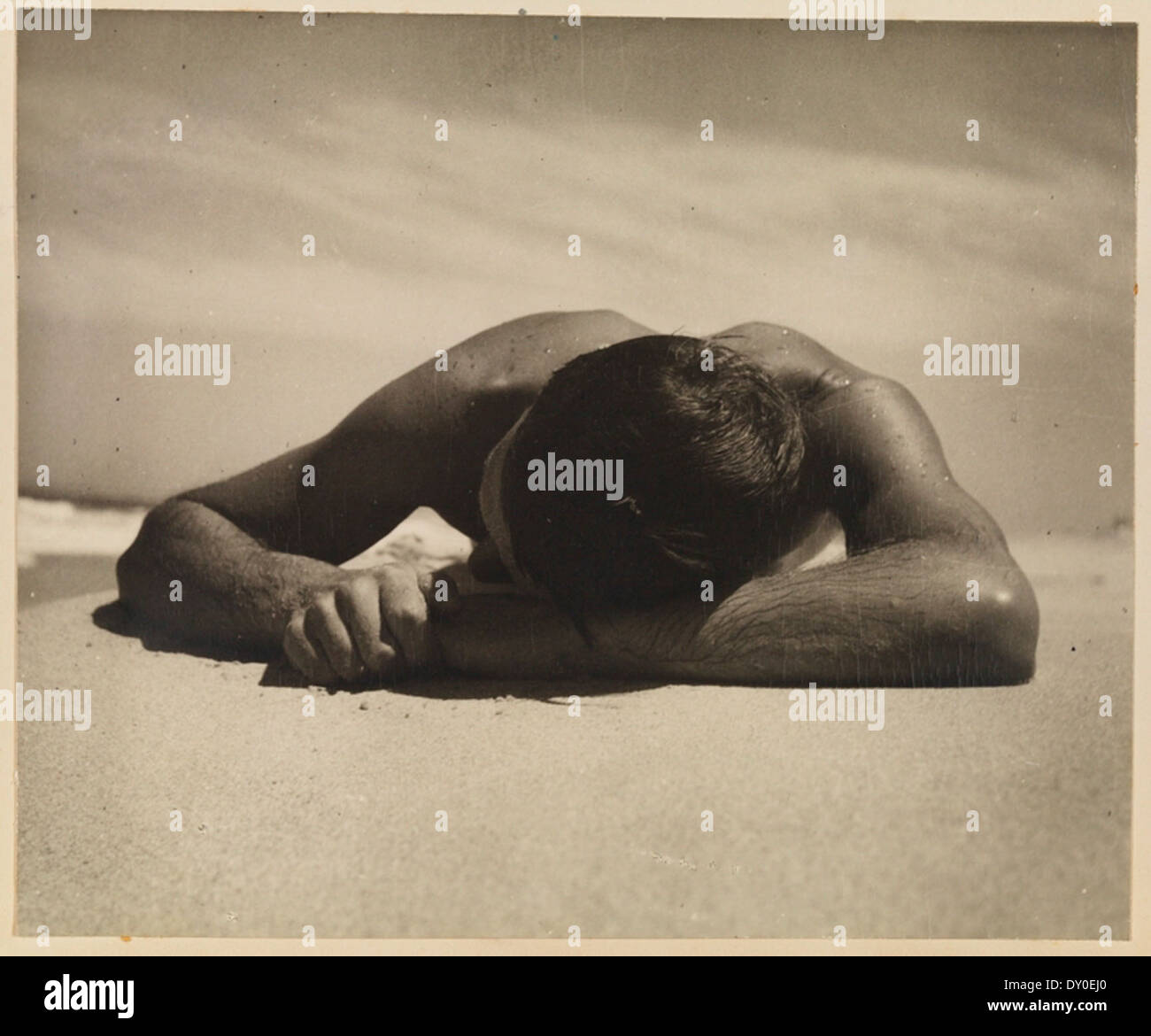 Harold salvage sunbaking hi-res stock photography and images - Alamy