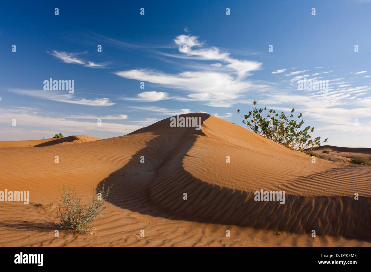 Sand dunes in Dubai desert Stock Photo - Alamy