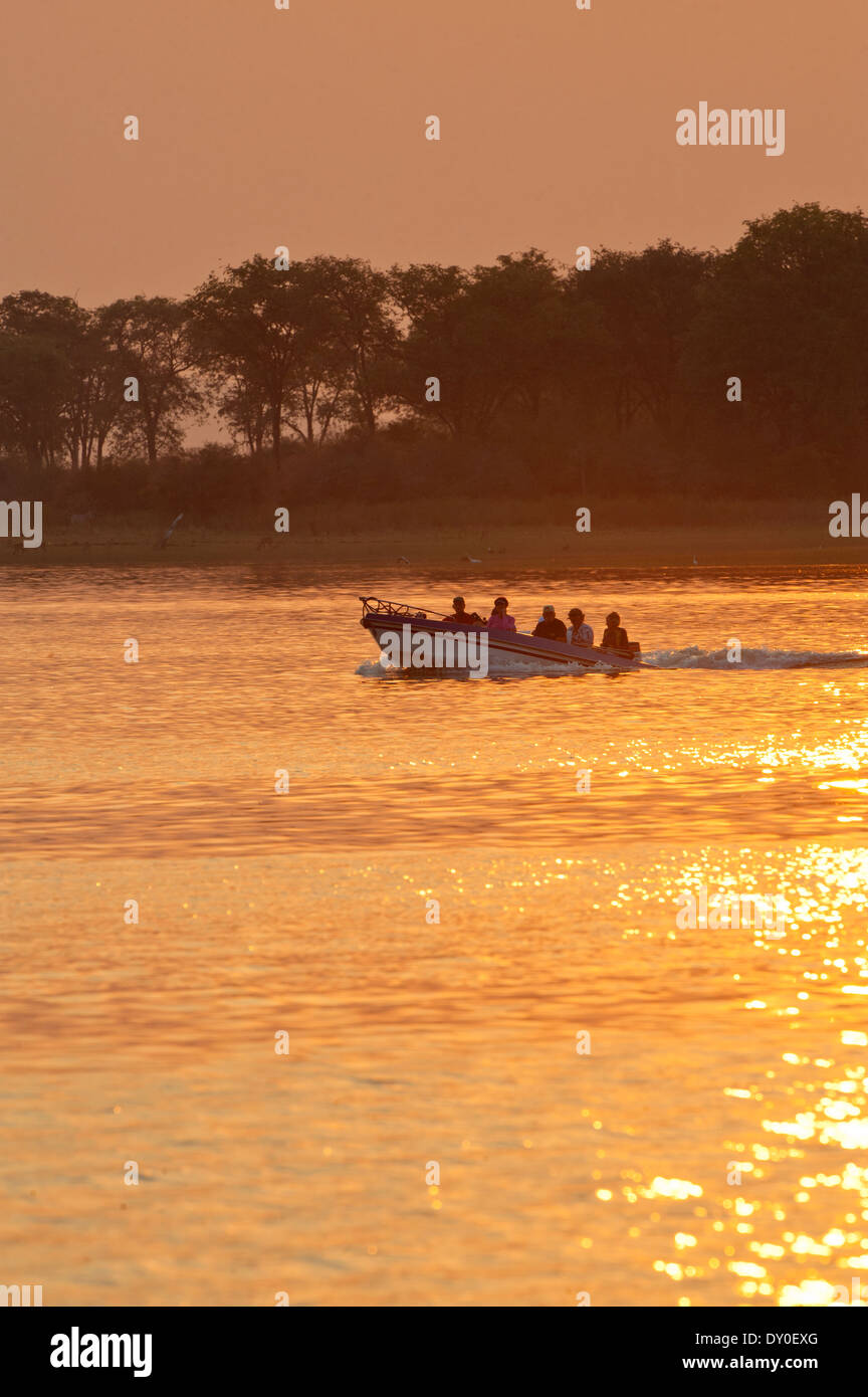 Kariba bream fish hi-res stock photography and images - Alamy