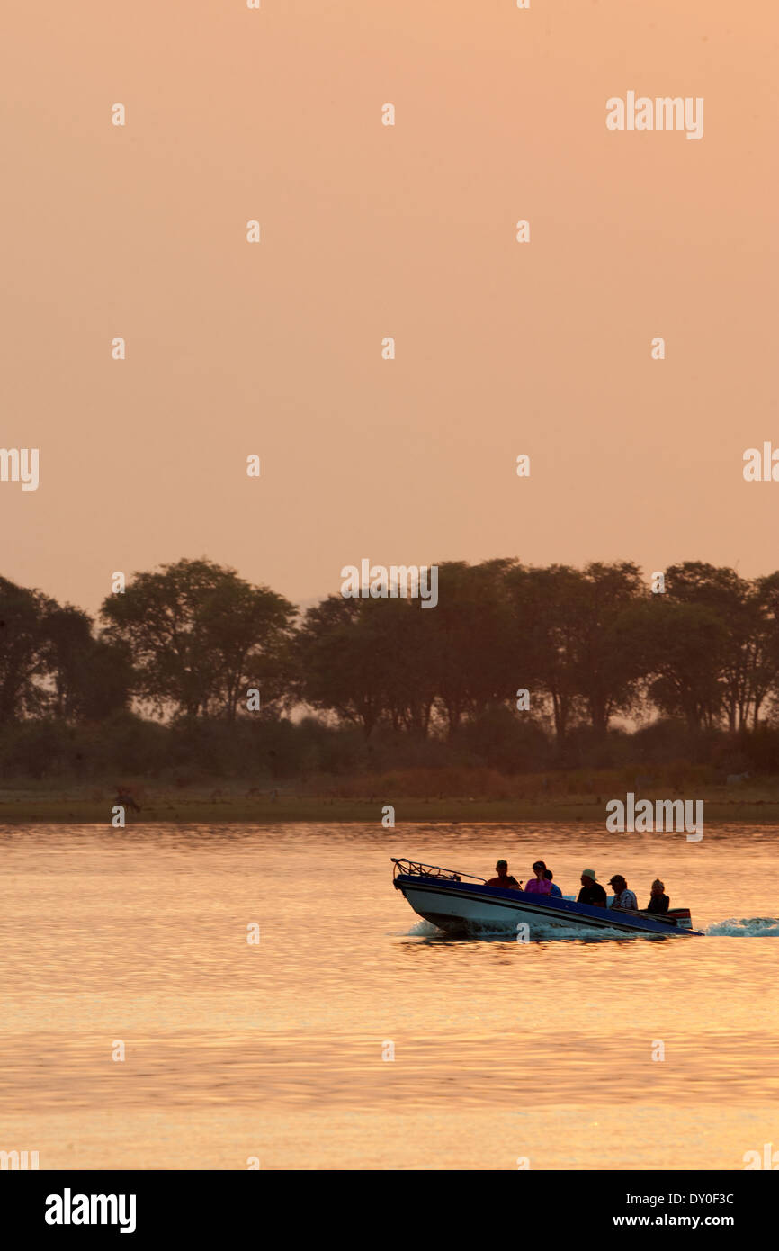 Kariba bream fish hi-res stock photography and images - Alamy