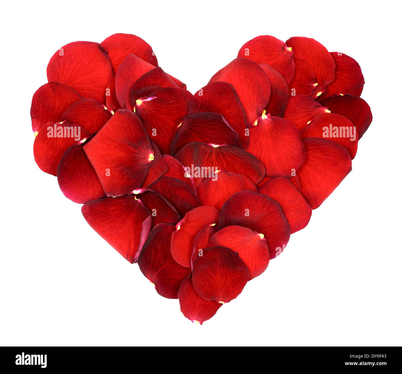 White rose red heart hi-res stock photography and images - Alamy