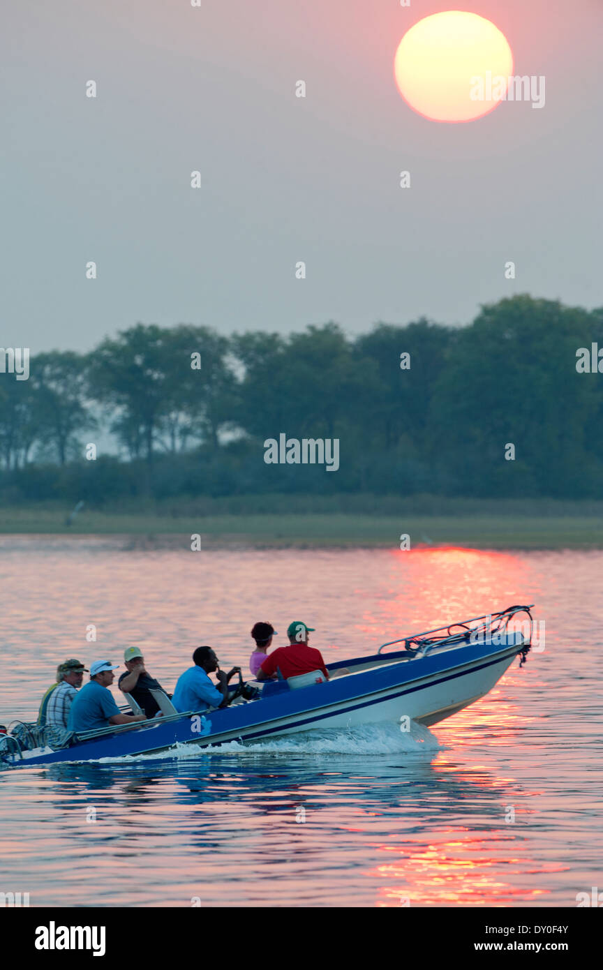 Kariba bream fish hi-res stock photography and images - Alamy