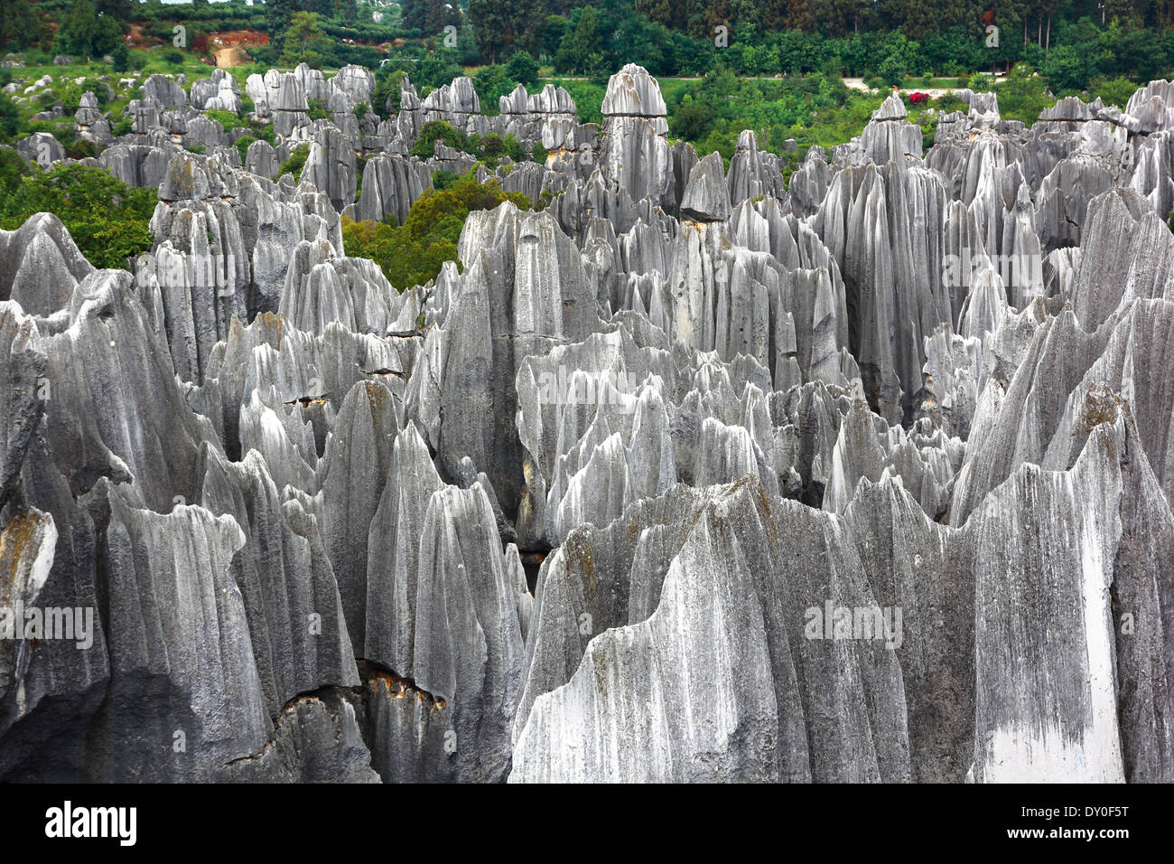 limestone Stone forest a UNESCO World Heritage Sites, Kunming Yunnan ...