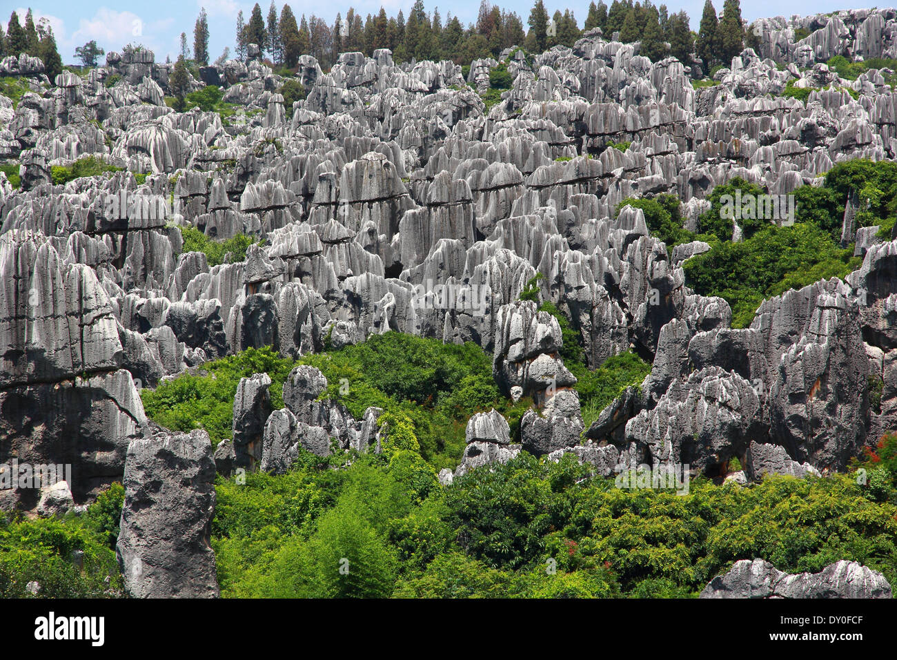 limestone Stone forest a UNESCO World Heritage Sites, Kunming Yunnan ...