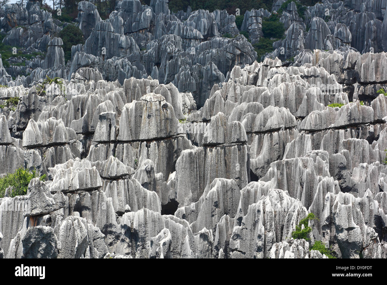 Limestone column formation hi-res stock photography and images - Alamy
