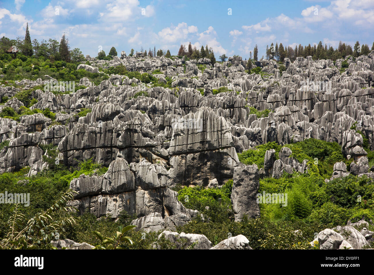limestone Stone forest a UNESCO World Heritage Sites, Kunming Yunnan ...