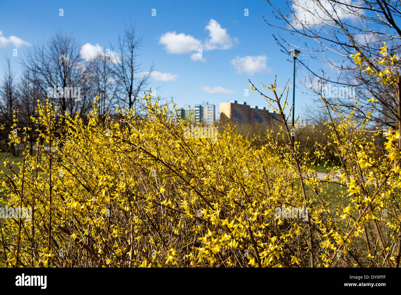 Spring arrived hi-res stock photography and images - Alamy
