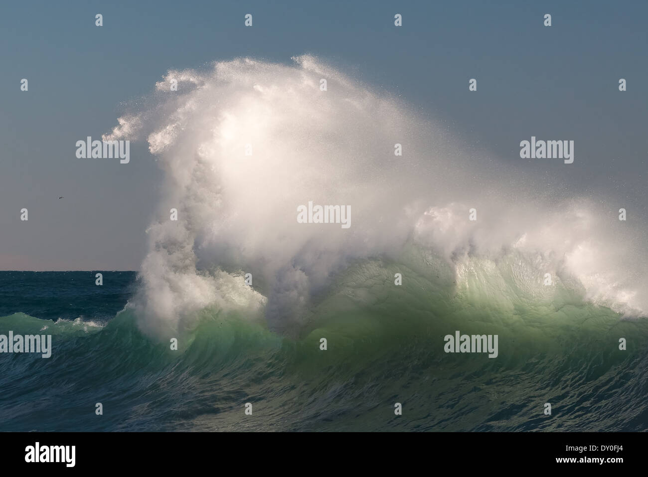 A crashing wave Stock Photo - Alamy
