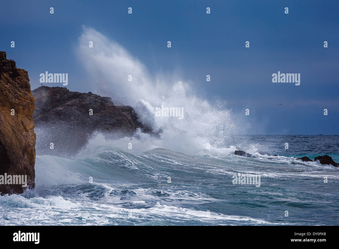 A crashing wave Stock Photo - Alamy