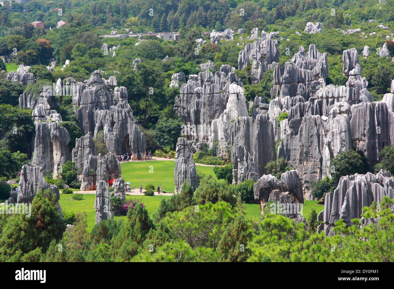 limestone Stone forest a UNESCO World Heritage Sites, Kunming Yunnan ...