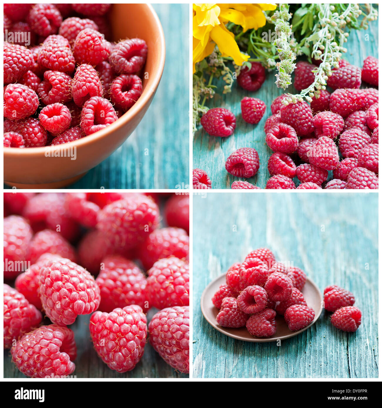 Fresh raspberry collection Stock Photo - Alamy