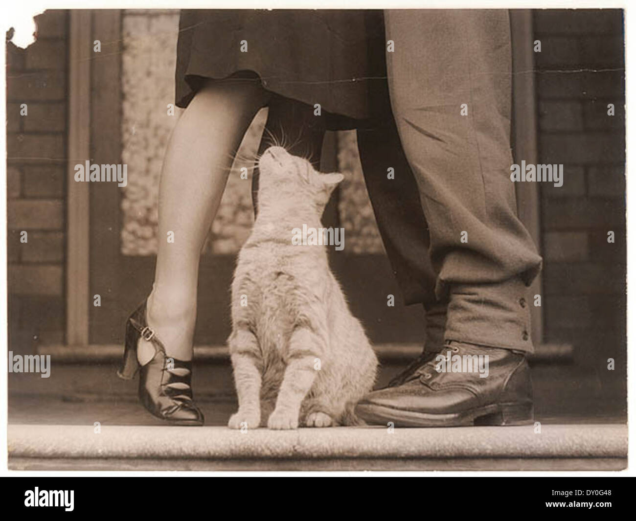 Soldier's goodbye & Bobbie the cat, Sydney, ca. 1939-ca. 1945 / by Sam ...