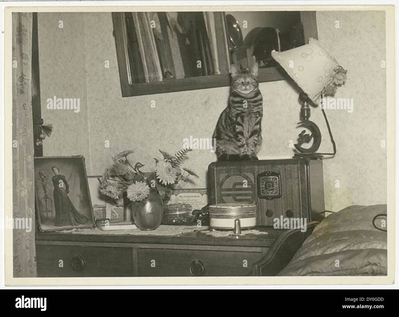 Sam And Cat Living Room