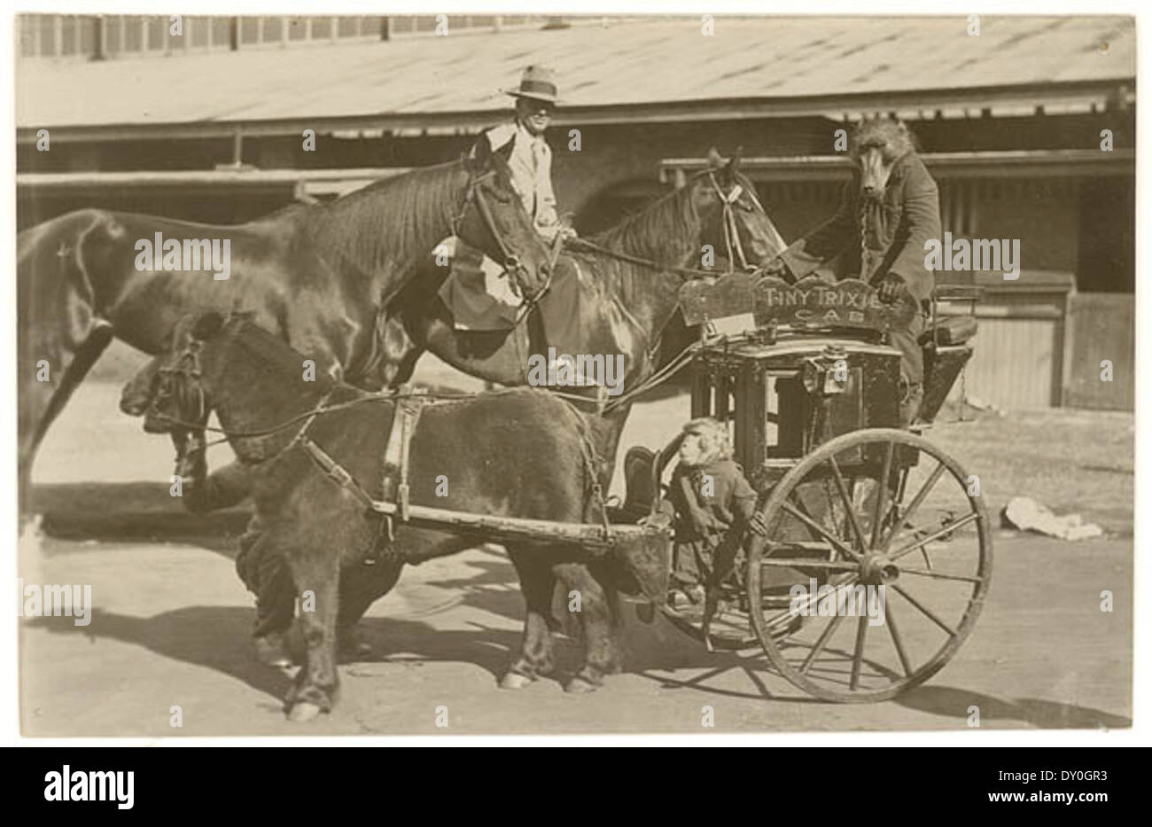 Tiny trixie cab hi-res stock photography and images - Alamy