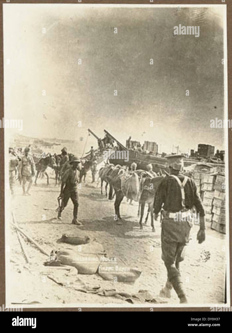 Gallipoli during world war hi-res stock photography and images - Alamy