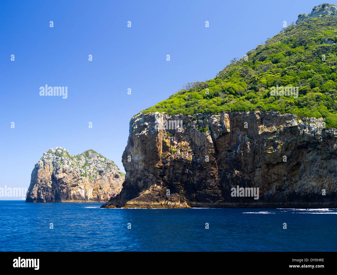 New zealand poor knights islands hi-res stock photography and images ...