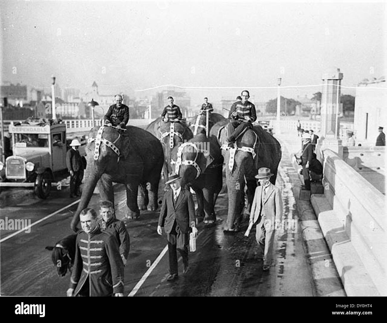 Vintage circus elephants hi-res stock photography and images - Alamy