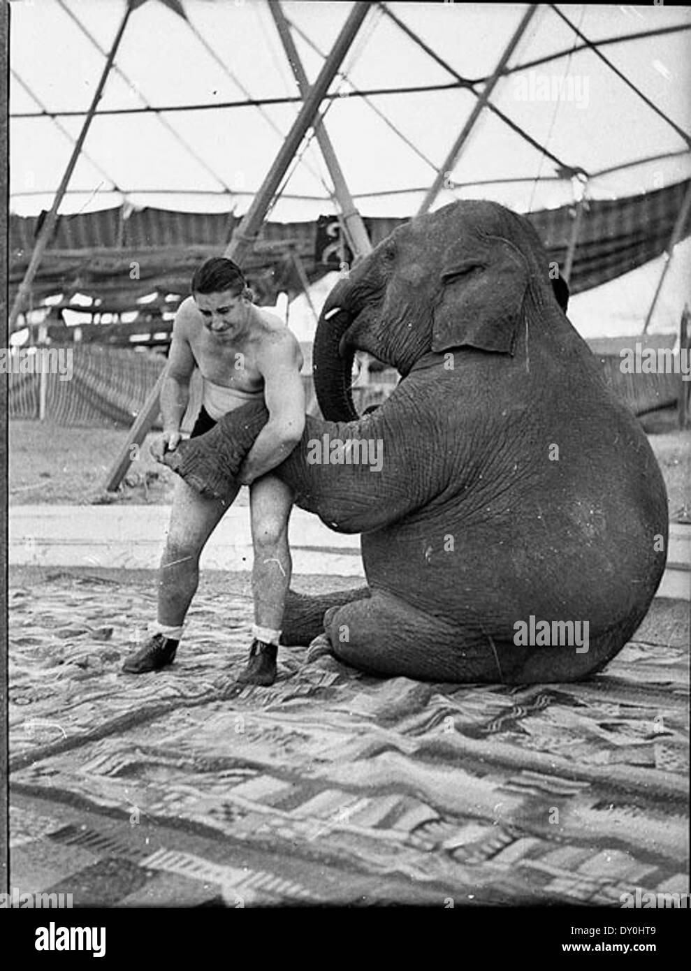 Blomfield High Resolution Stock Photography and Images - Alamy