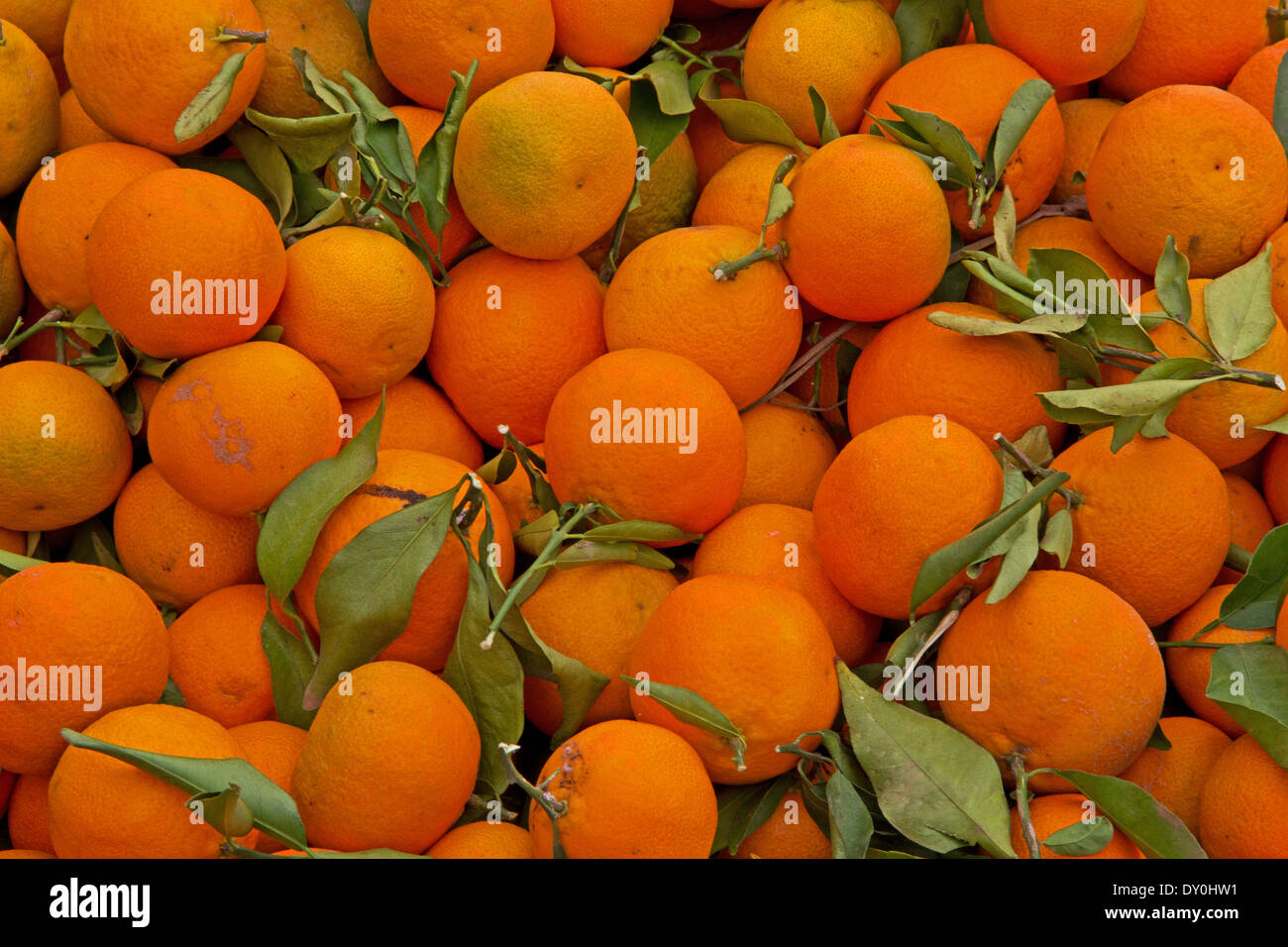 Oranges for sale in market, Marrakech, Morocco Stock Photo - Alamy
