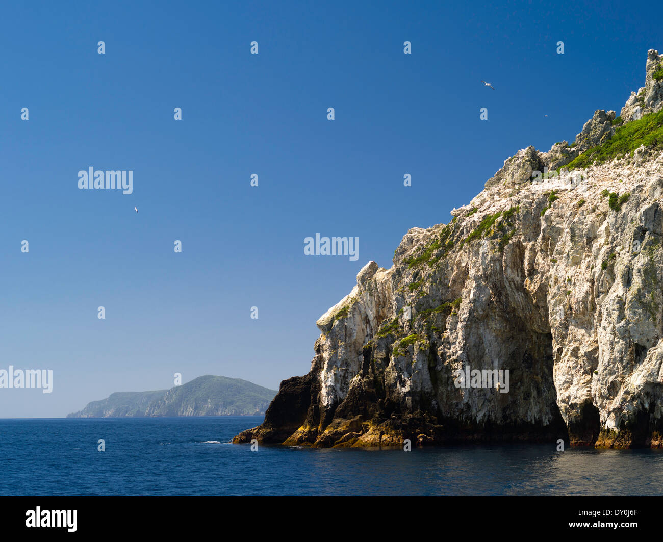 View of Poor Knights Islands, summer, Northland, New Zealand Stock ...