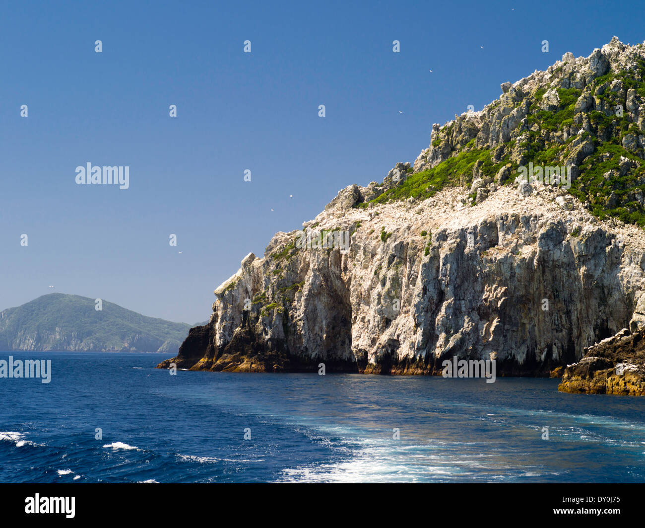 View of Poor Knights Islands, summer, Northland, New Zealand Stock ...