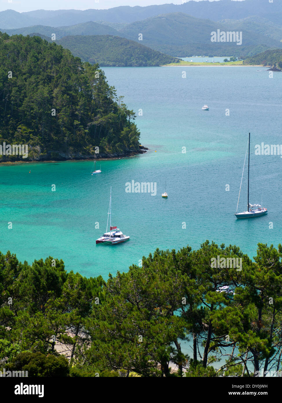 Roberton island new zealand hi-res stock photography and images - Alamy