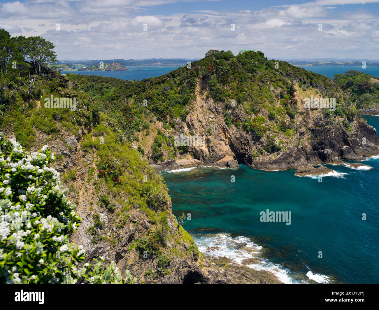 Roberton island new zealand hi-res stock photography and images - Alamy