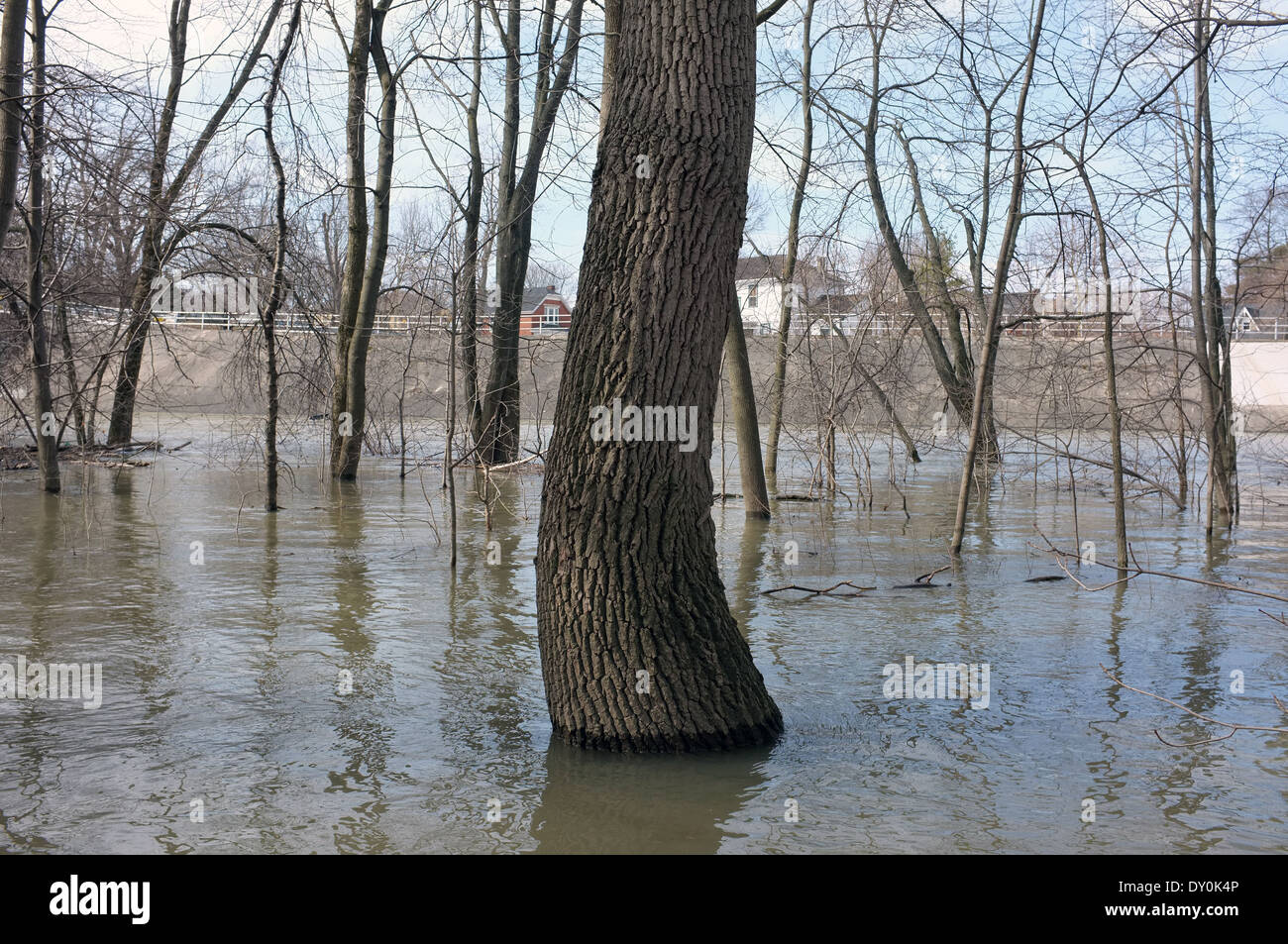 After heavy rain a river bursts its banks covering the bottom of ...