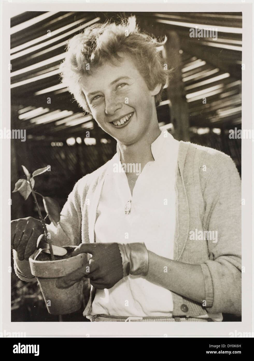 Betty field 1950s hi-res stock photography and images - Alamy