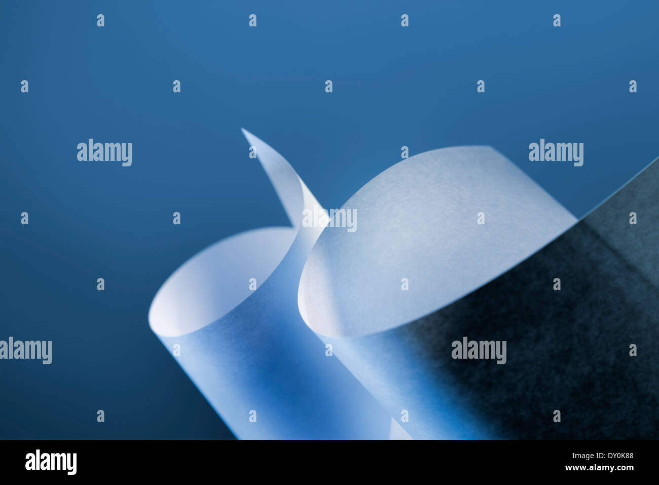 Curled Edge Paper Stock Photos & Curled Edge Paper Stock Images - Alamy