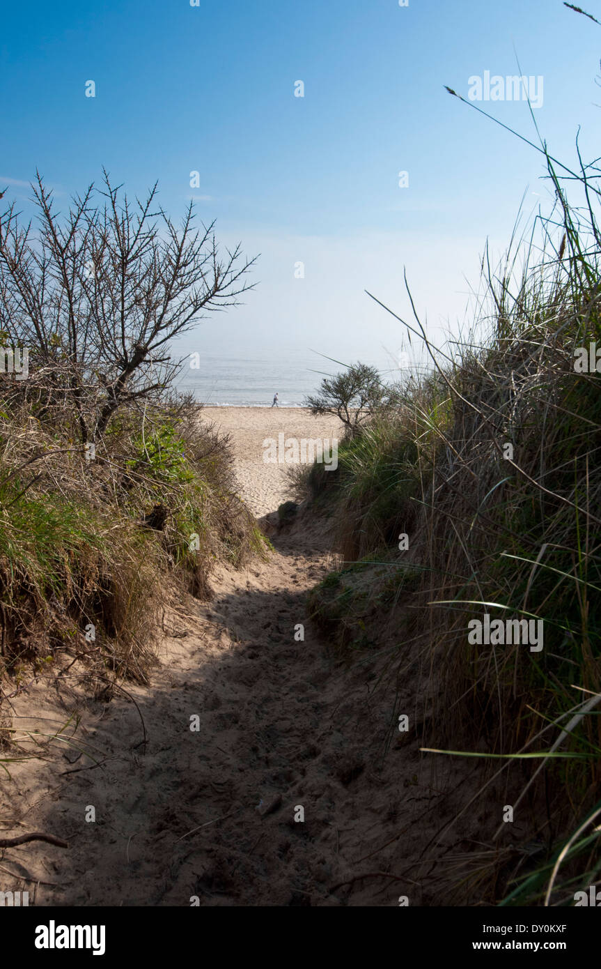 Path through sand dunes to beach Hemsby Norfolk England UK Stock Photo ...