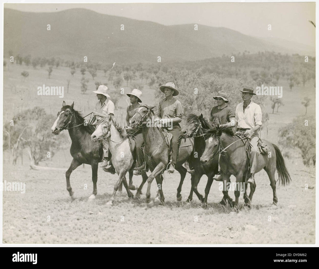 Sheep station australia hi-res stock photography and images - Alamy