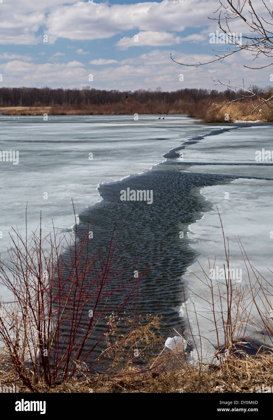 Constructed wetland hi-res stock photography and images - Alamy