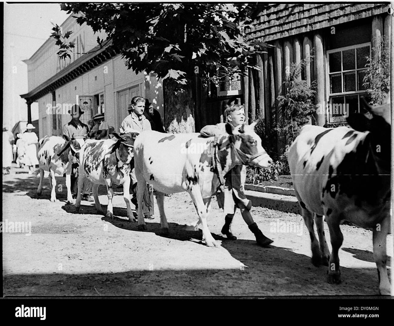 A photograph by Sam Hood showing scenes from the 1937 Royal ...