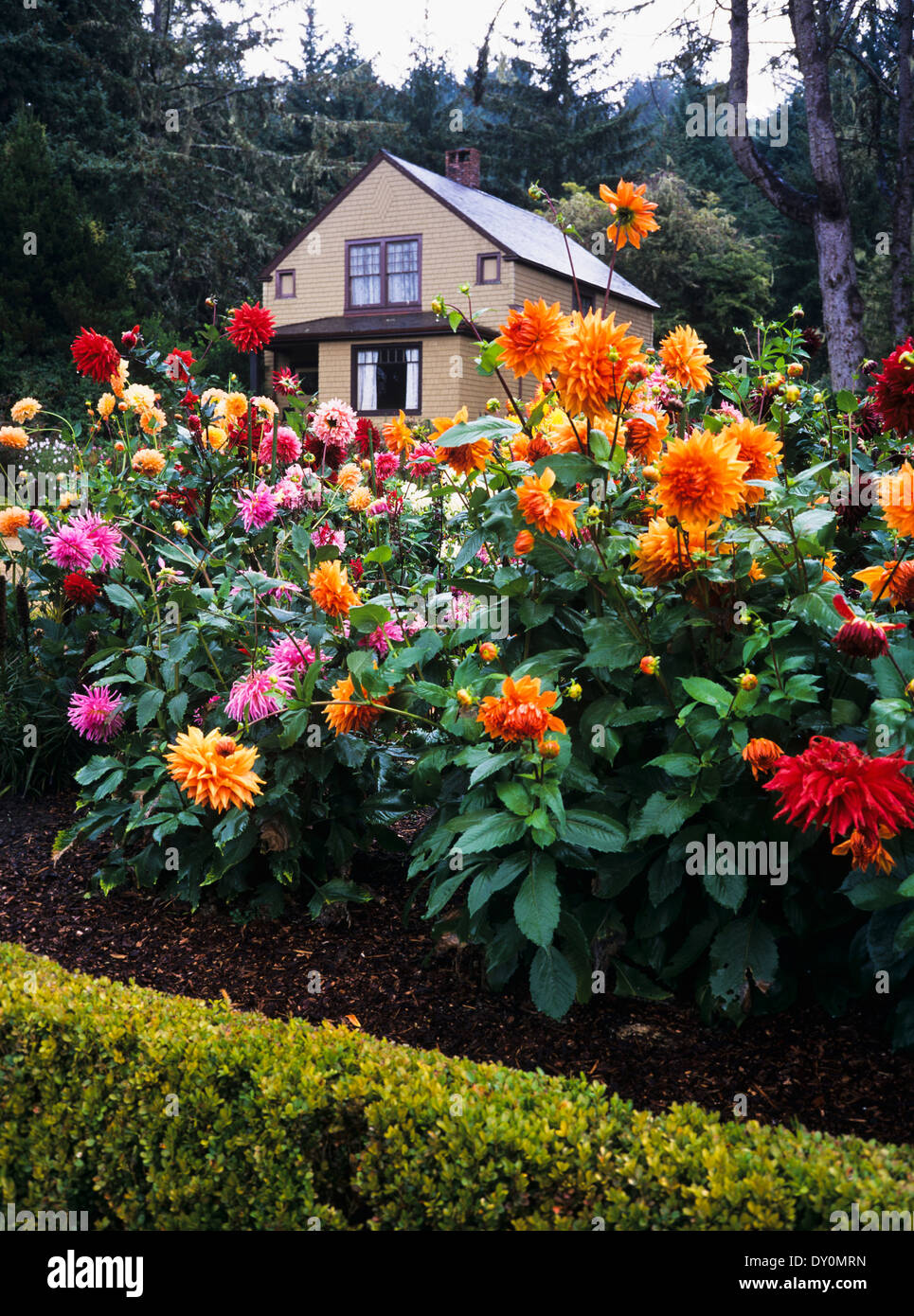 Shore acres gardens hi-res stock photography and images - Alamy