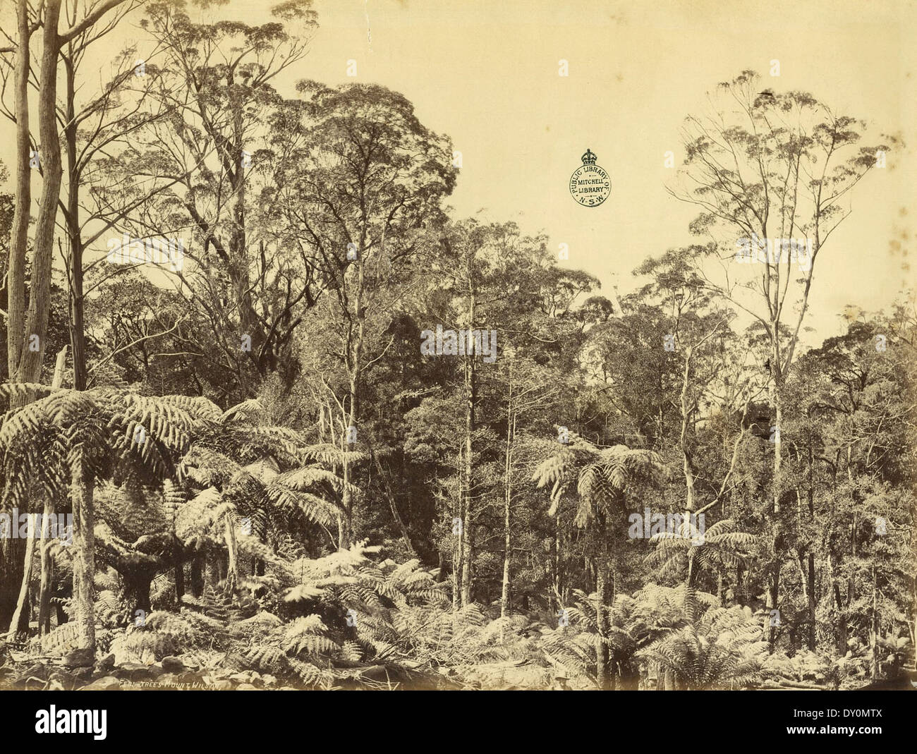 Mountwilson hi-res stock photography and images - Alamy